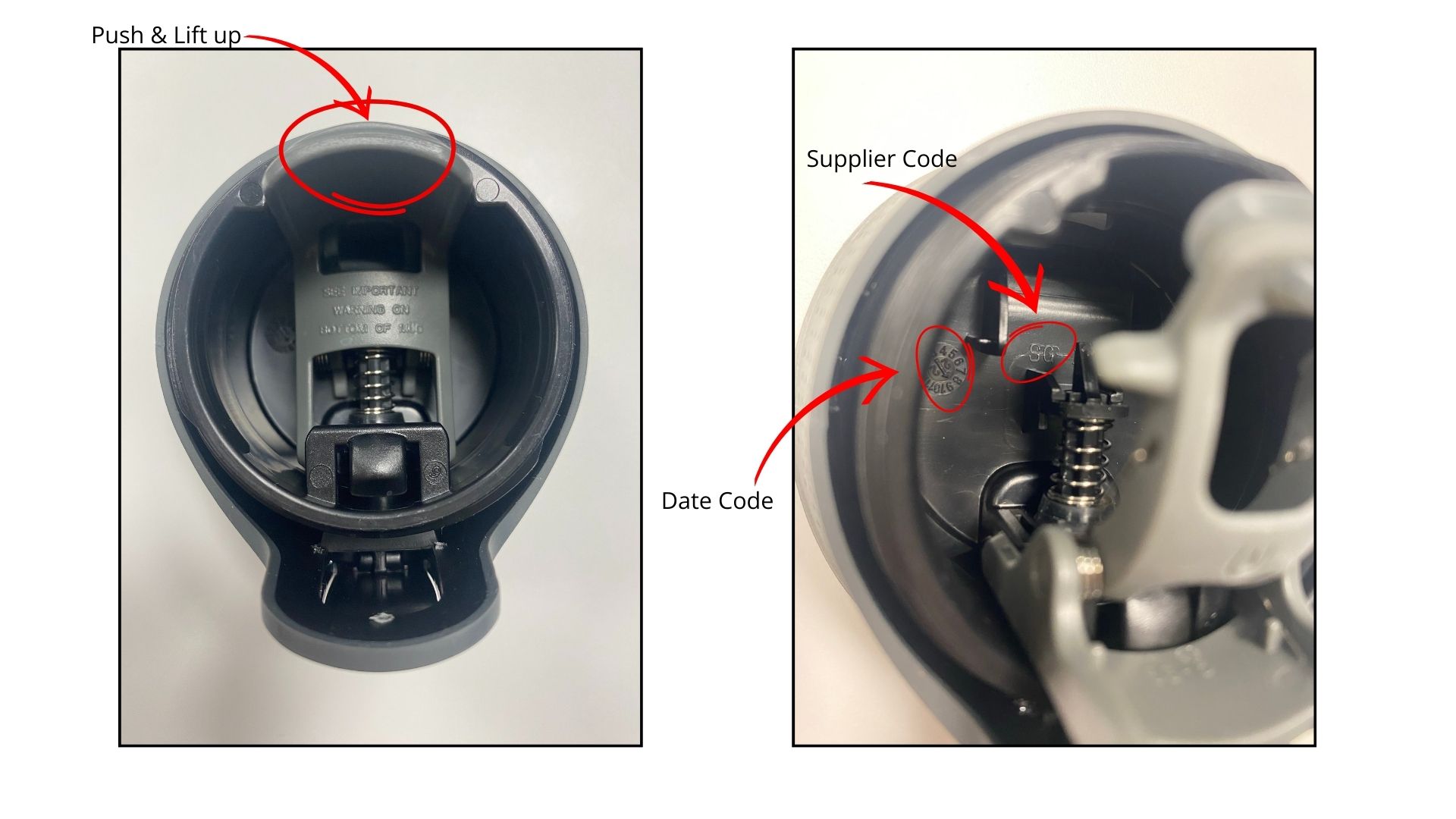Where to find date & supplier codes?